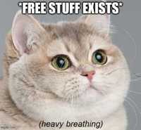 How To Access Localhost On Another Device | Dilshan Kelsen